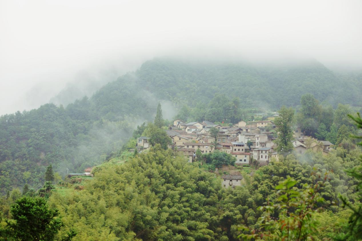 浙江稠州商业银行：激发文旅新活力 燃旺乡村“烟火气”